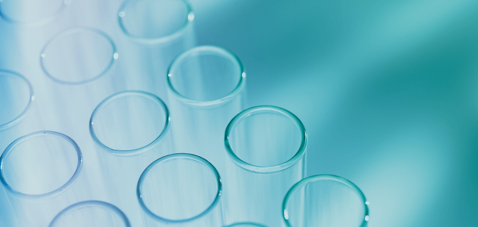 Revolutionizing Drug Development: CDMO Trends Defining 2024 and Beyond Revolutionizing Drug Development: CDMO Trends Defining 2024 and Beyond